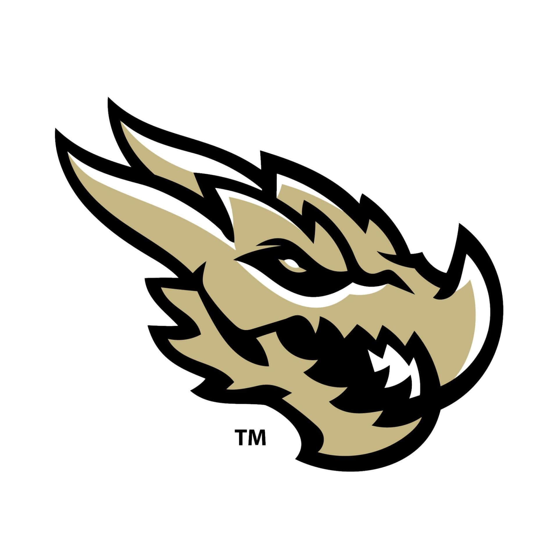 Dragon Leaders - Academia Digital Gateway de Indiana